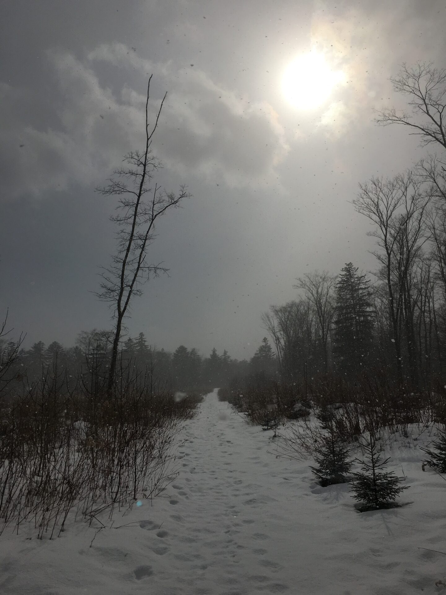 Ice Palace Snow Trekking Walk in Shikotsu – All Hokkaido | Find & Book ...